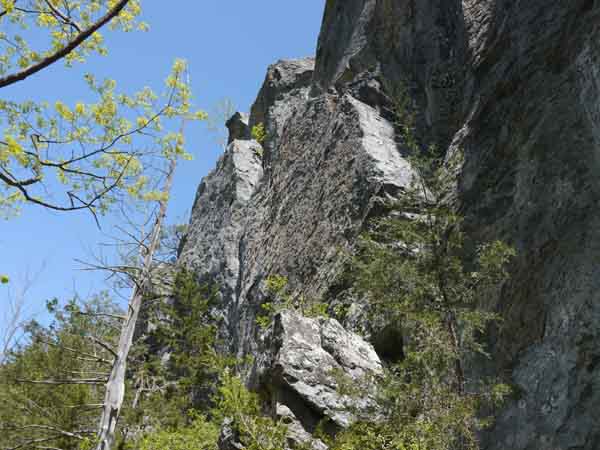 Snakes on a Cliff: Rattler Research in Vermont