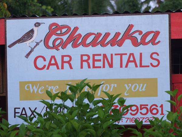 The Charismatic and Elusive Birds of Manus Island