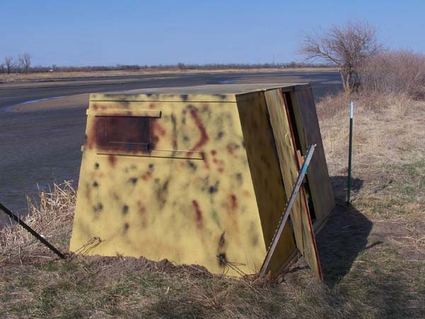 Platte River Sandhill Cranes: N. America’s Great Bird Spectacle