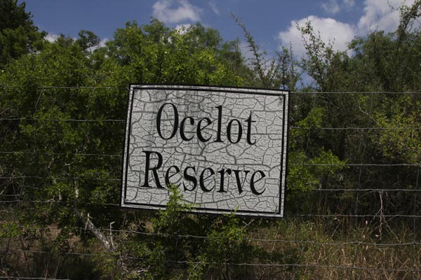Connecting The Ocelot’s Home on the Range