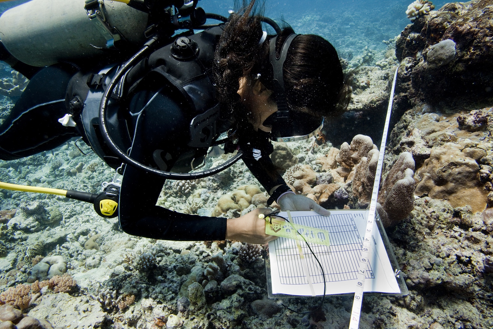 From Theory to Practice: Managing Reefs for Resilience