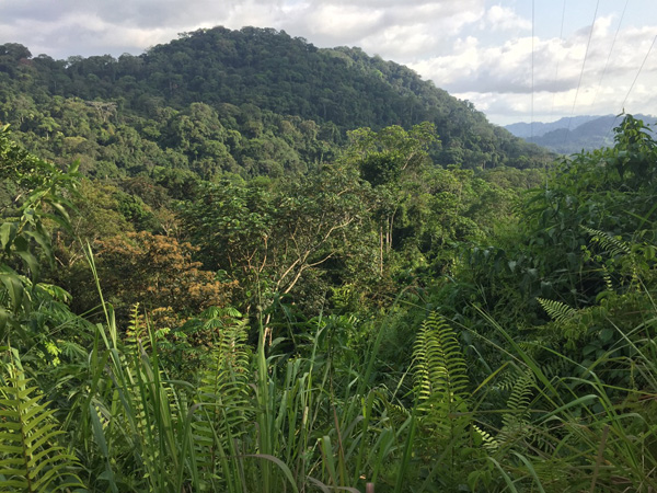 Can Nature Make Economic Development Work Better for People?