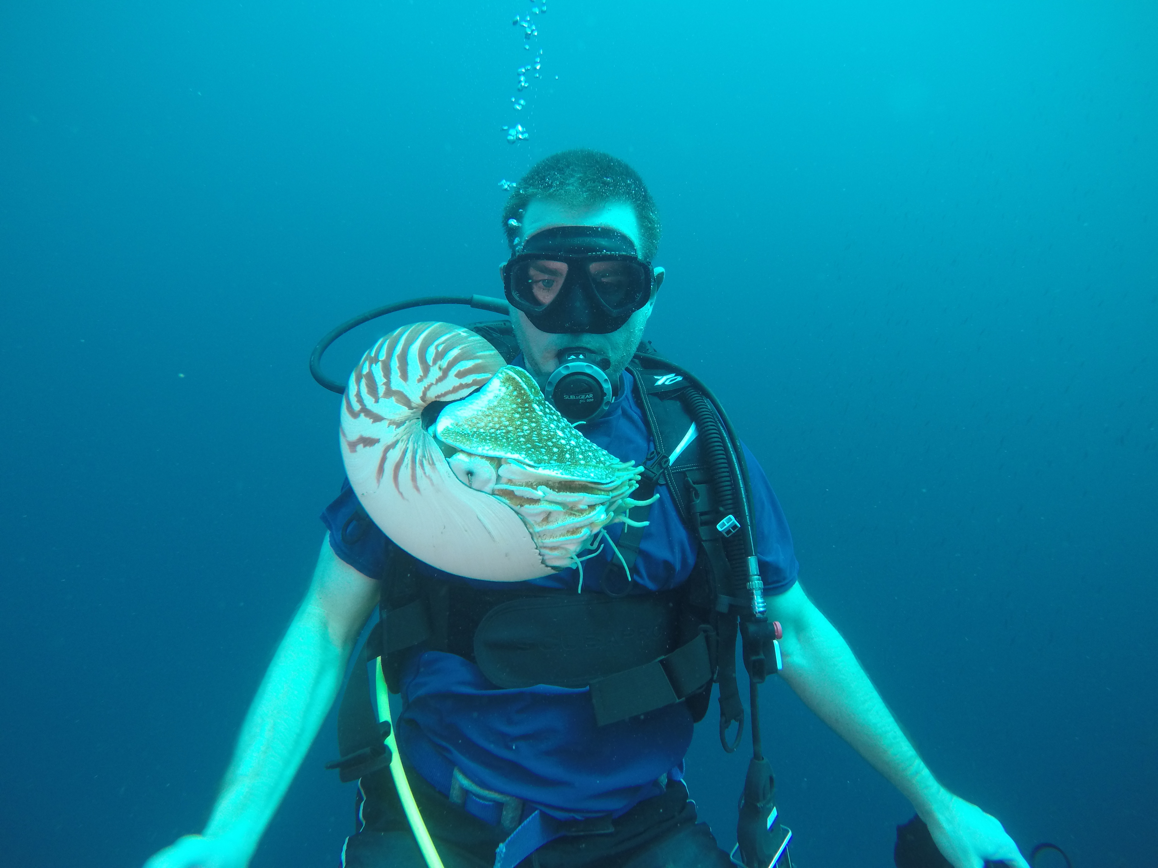 Searching for the Rare “Crusty Nautilus” in the Bismarck Sea