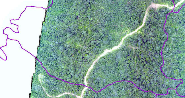 Mapping Reduced-Impact Logging With Lidar