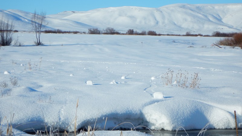 Snow Rollers: "Spontaneous Snowballs" at Silver Creek Preserve - Cool ...
