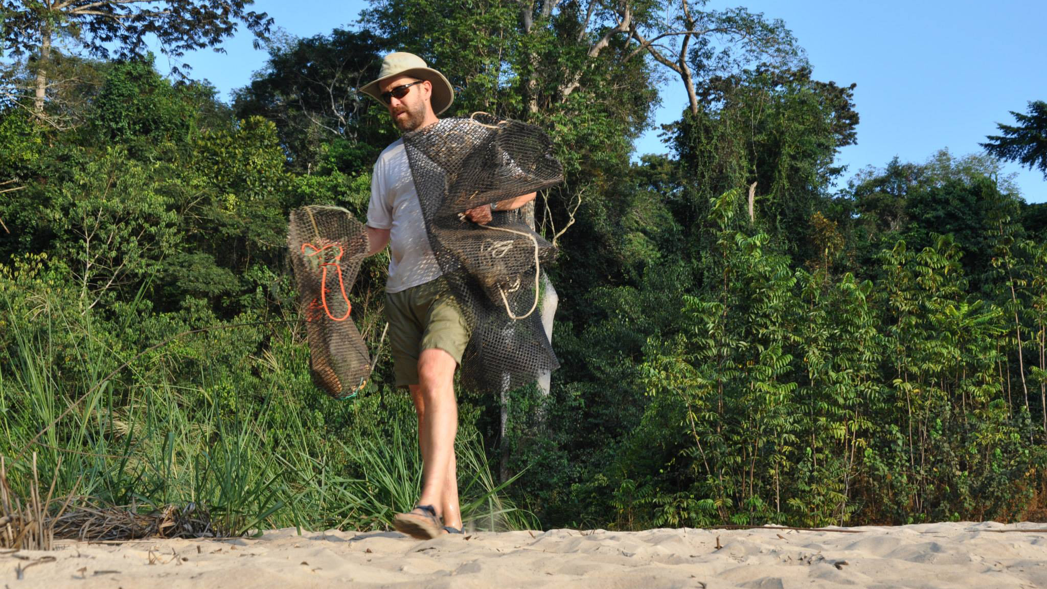 They’re Electric: Two New Fish Species Discovered in Gabon - Cool Green ...