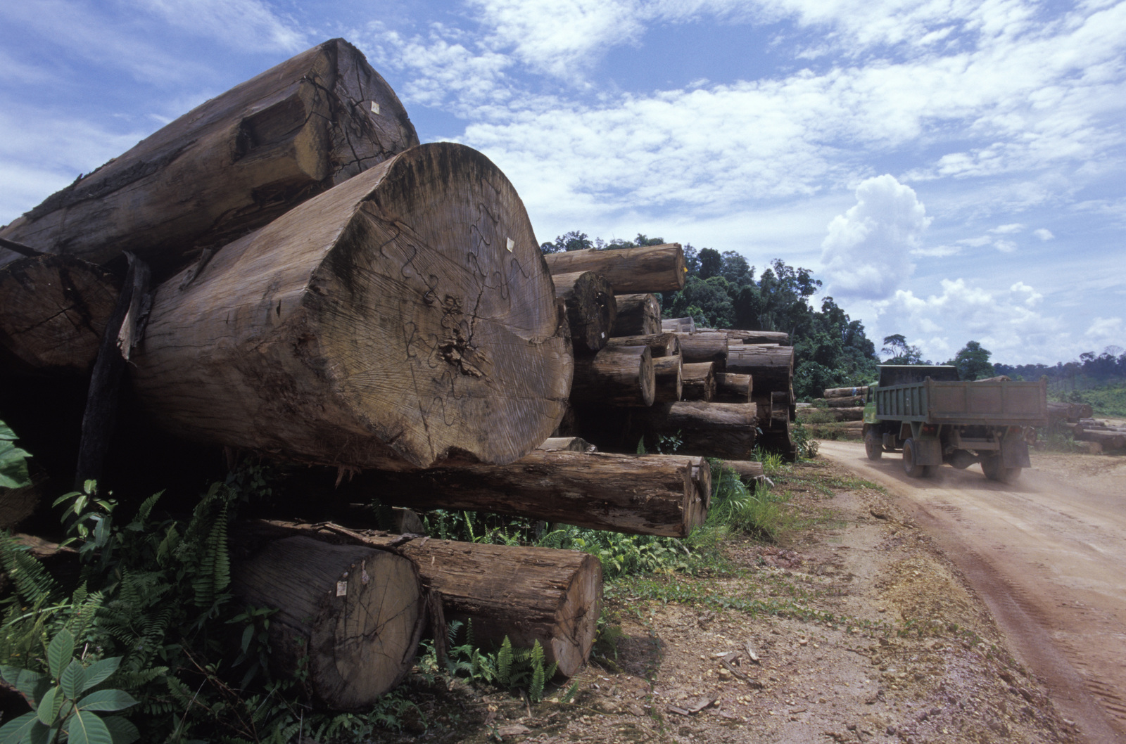 Mapping Reduced-Impact Logging With Lidar