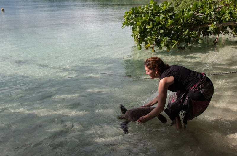 A Day in the Life of a Field Scientist: Arnavon Islands Edition