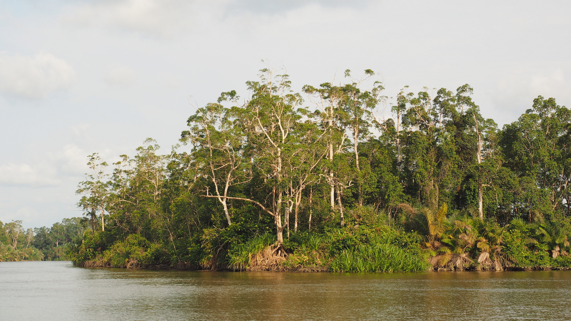 Flight Over the Bas-Ogooué: Using Drones to Map Gabon’s Protected Wetlands