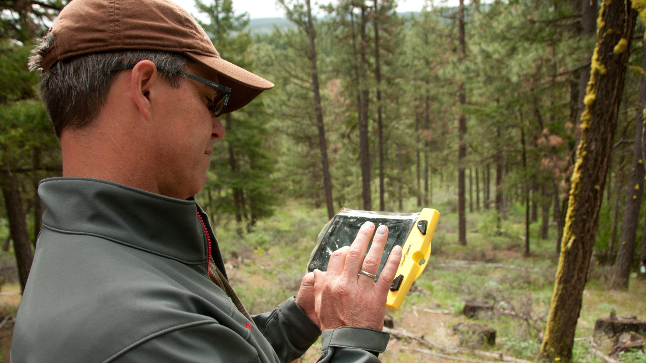 Fire Archives - Page 2 of 3 - Cool Green Science