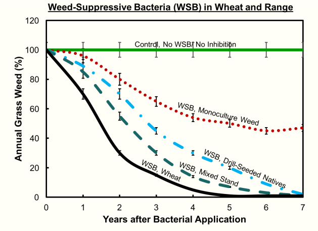 Attacking Invasive Cheatgrass at Its Root - Cool Green Science