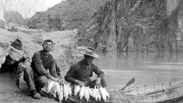 Recovery: Humpback Chubs, New Values and New Hope for Endangered Native ...