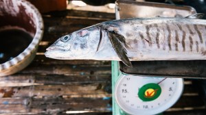 7 Science Innovations That Are Changing Conservation - Cool Green Science