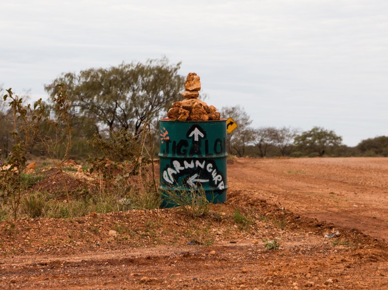 Wide Horizons: A Journey Across Martu Country