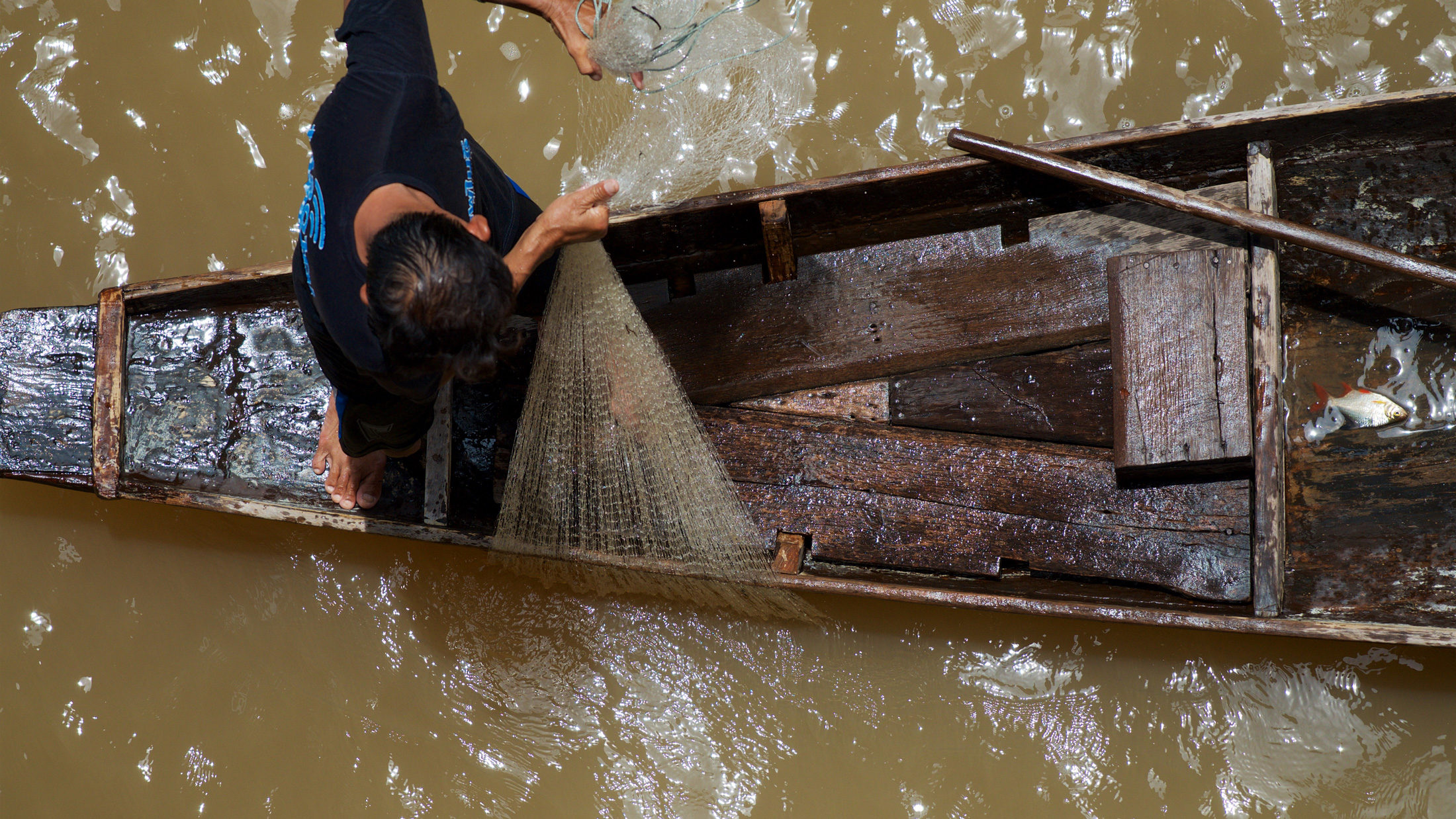 The Surprising Importance of Freshwater Fisheries to Global Food ...