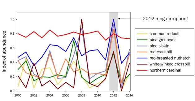 What Northern Bird Species Will Show Up at Your Feeder This Year ...