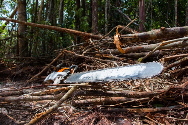 Modelling Logging’s Impacts On Biodiversity & Carbon in a Hypothetical ...