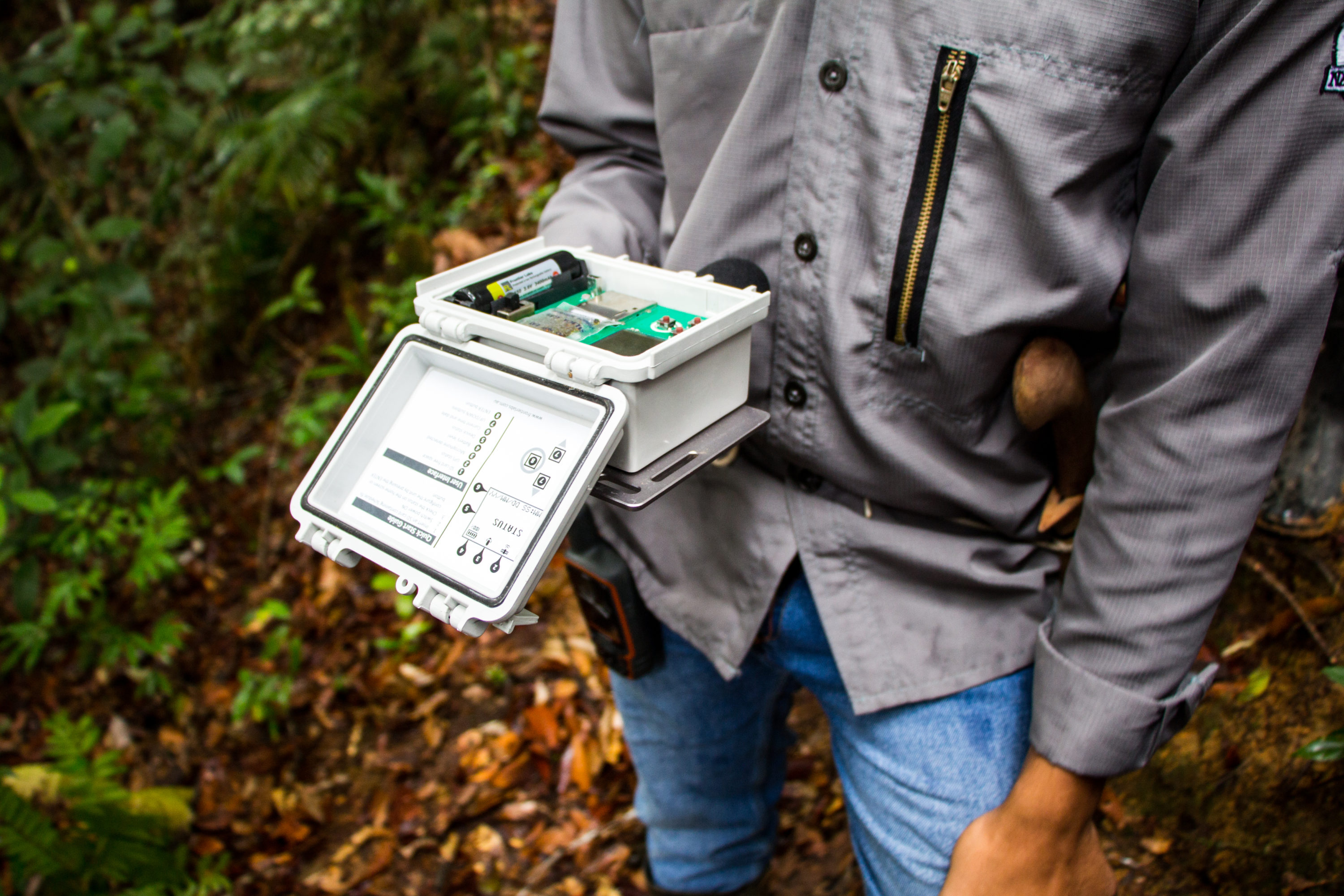 Ecoacoustics Archives - Cool Green Science