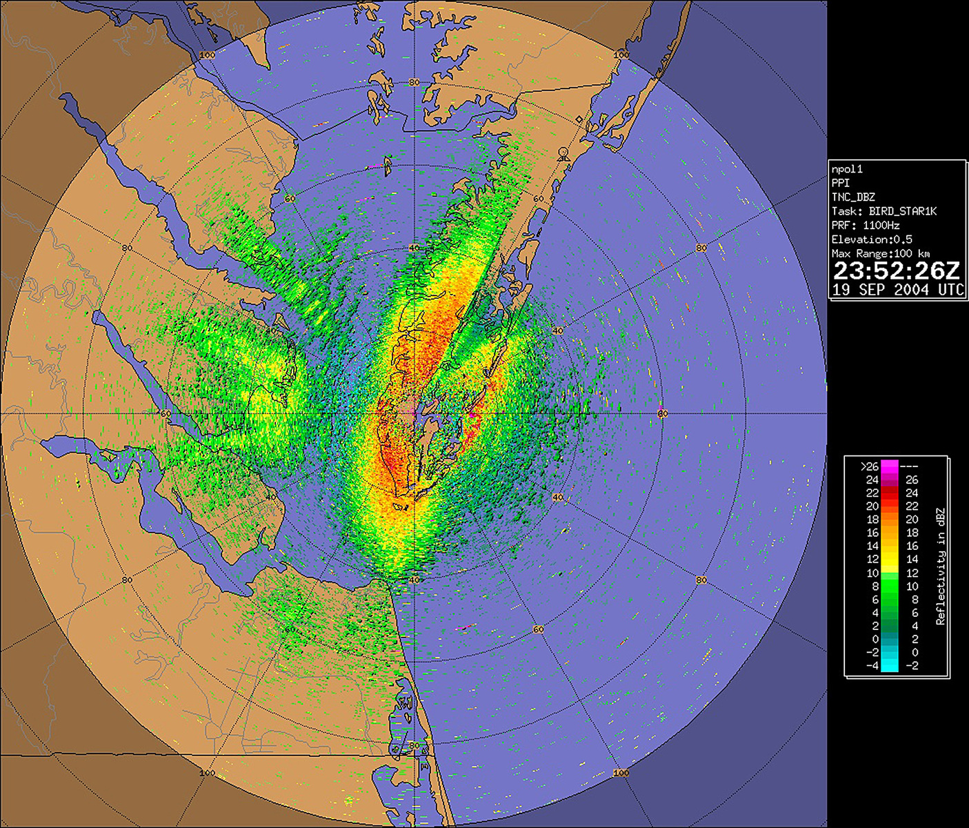 Migration — The Black Box of Neotropical Bird Conservation