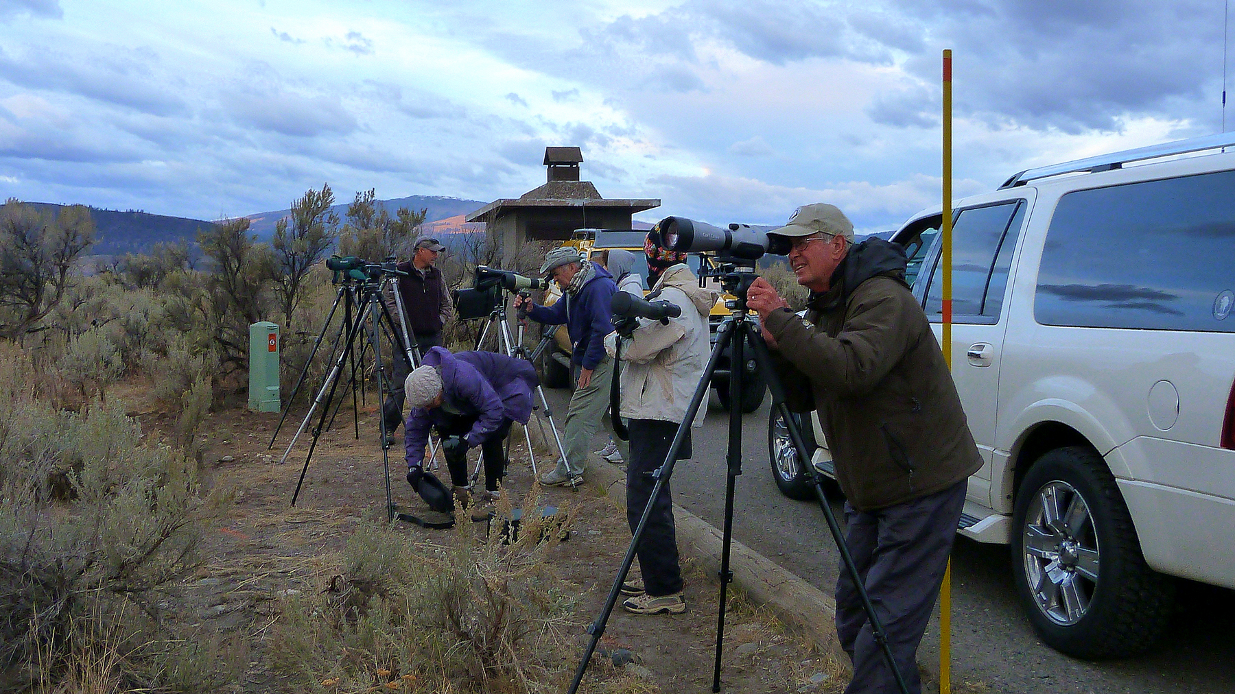 The Ultimate Guide to Yellowstone Wildlife Viewing - Cool Green Science