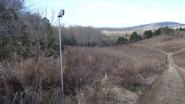 Camera Traps Chronicle Restoration Success at Davis Bend - Cool Green ...