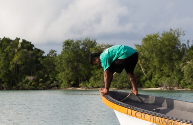 Welcome to the Sea Turtle Rodeo