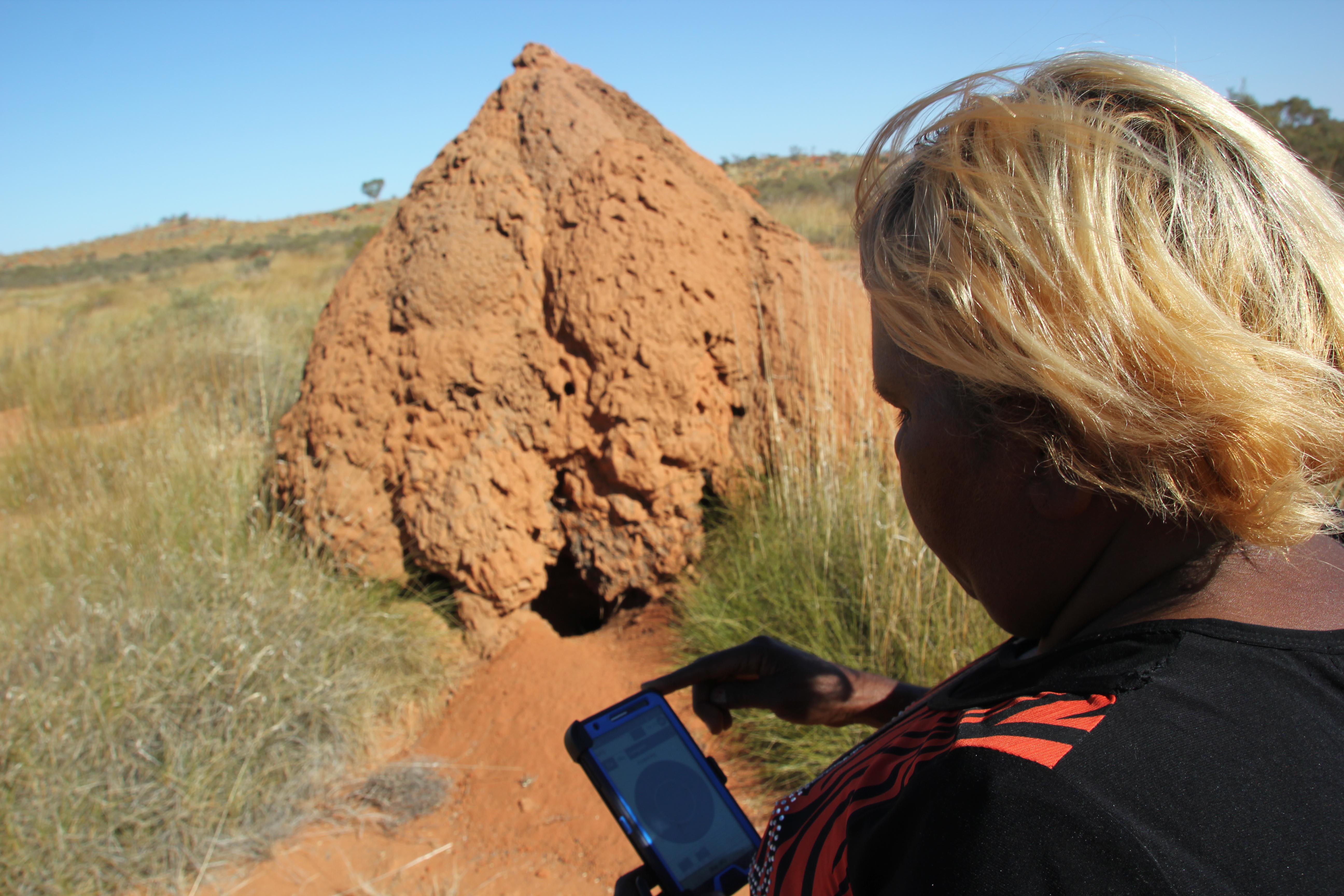 Traditional Knowledge Helps Monitor Threatened Bilbies