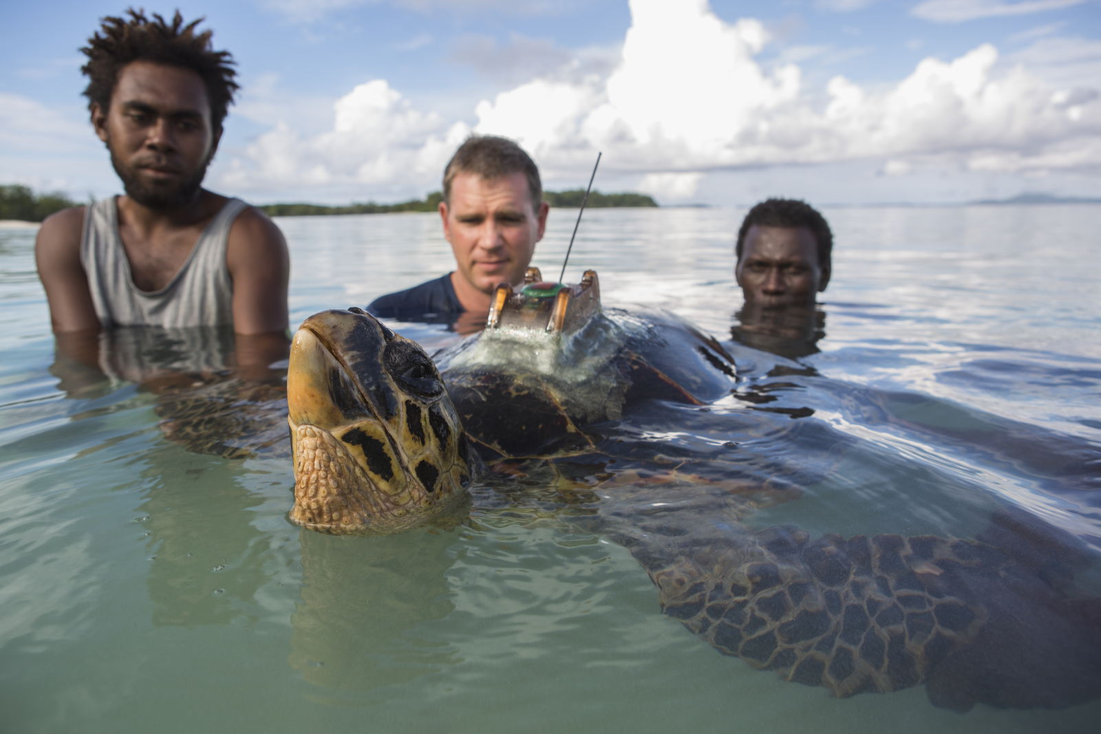 New Protections Provide Hope for the Arnavon Islands