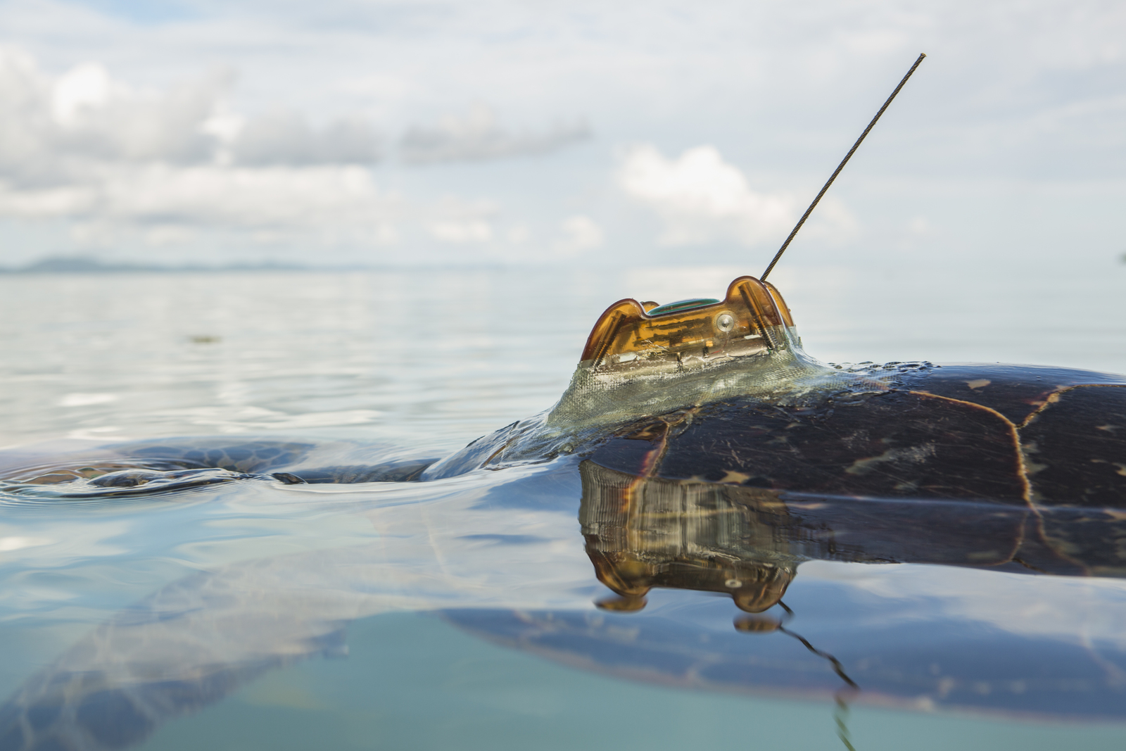 Cool Green Science - Stories of The Nature Conservancy