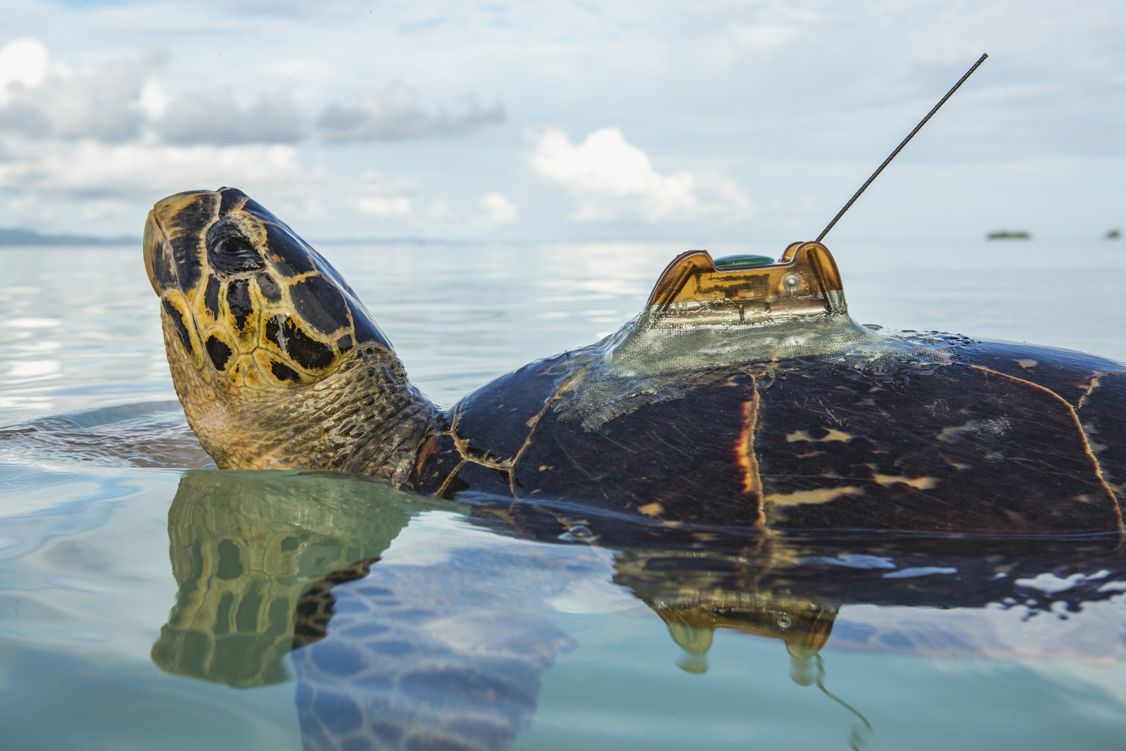 Cool Green Science - Stories of The Nature Conservancy