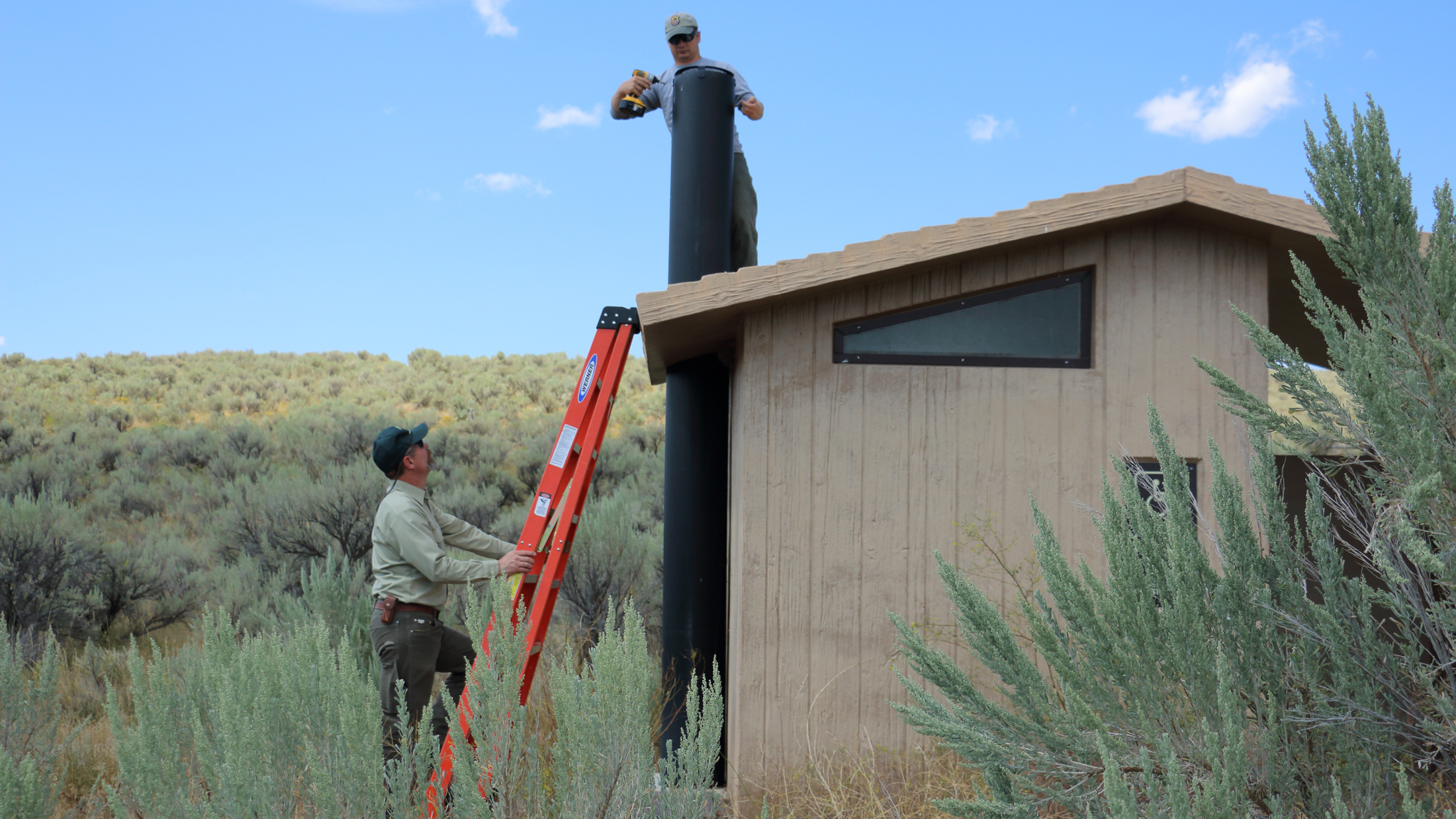 Owls in the Outhouse: Opening the Bathroom Door on a Foul Bird Issue ...