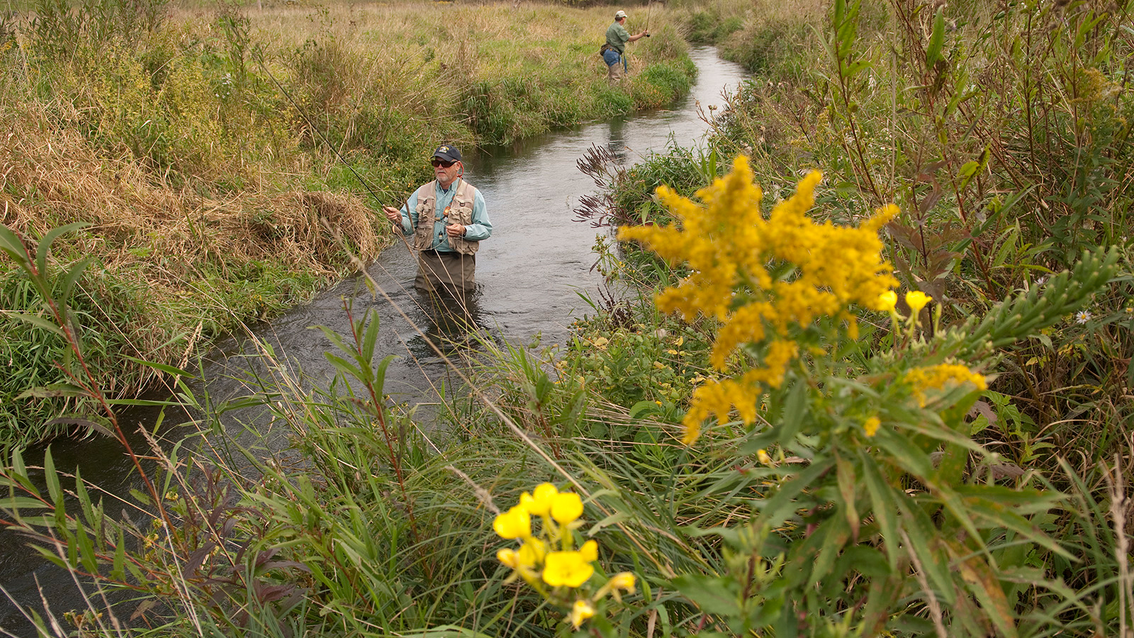 More Trout, Less Algae: Wisconsin Stream Demonstrates Benefits of ...