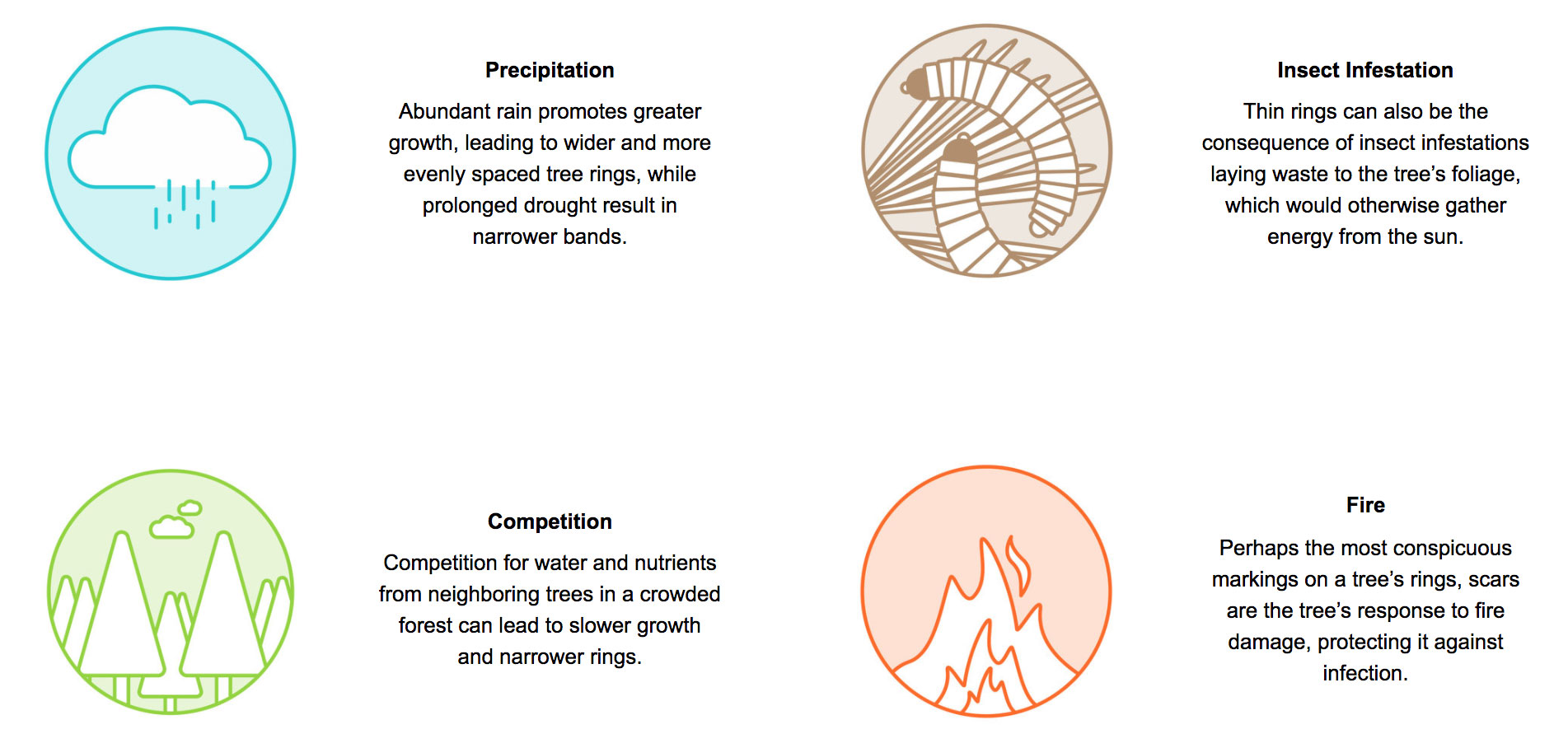 Trees Tell Us Much About Fire: What Will We Do About It? - Cool Green ...