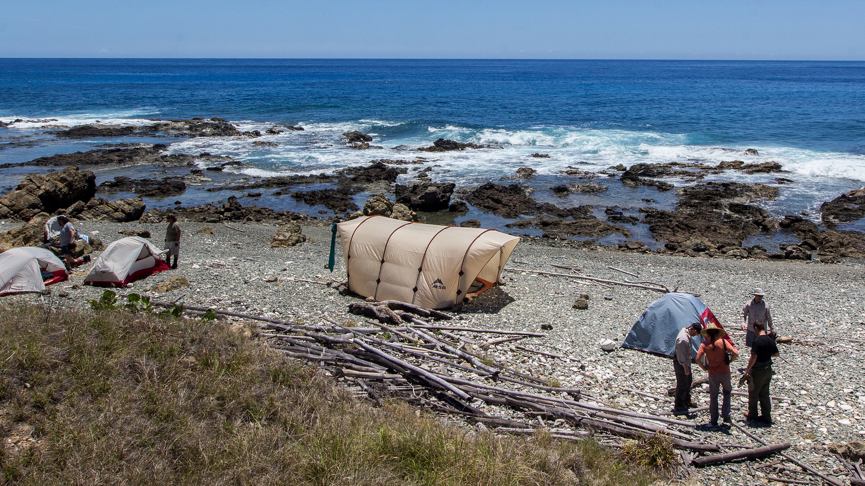 Recovery: The Salvation of Desecheo National Wildlife Refuge