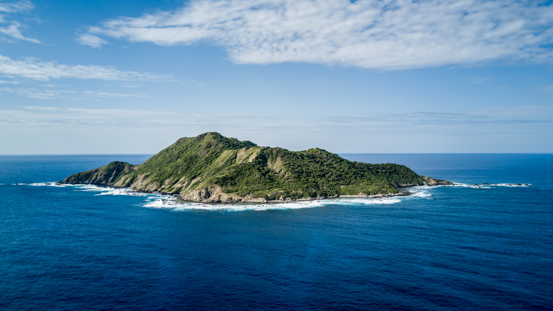 Recovery: The Salvation of Desecheo National Wildlife Refuge