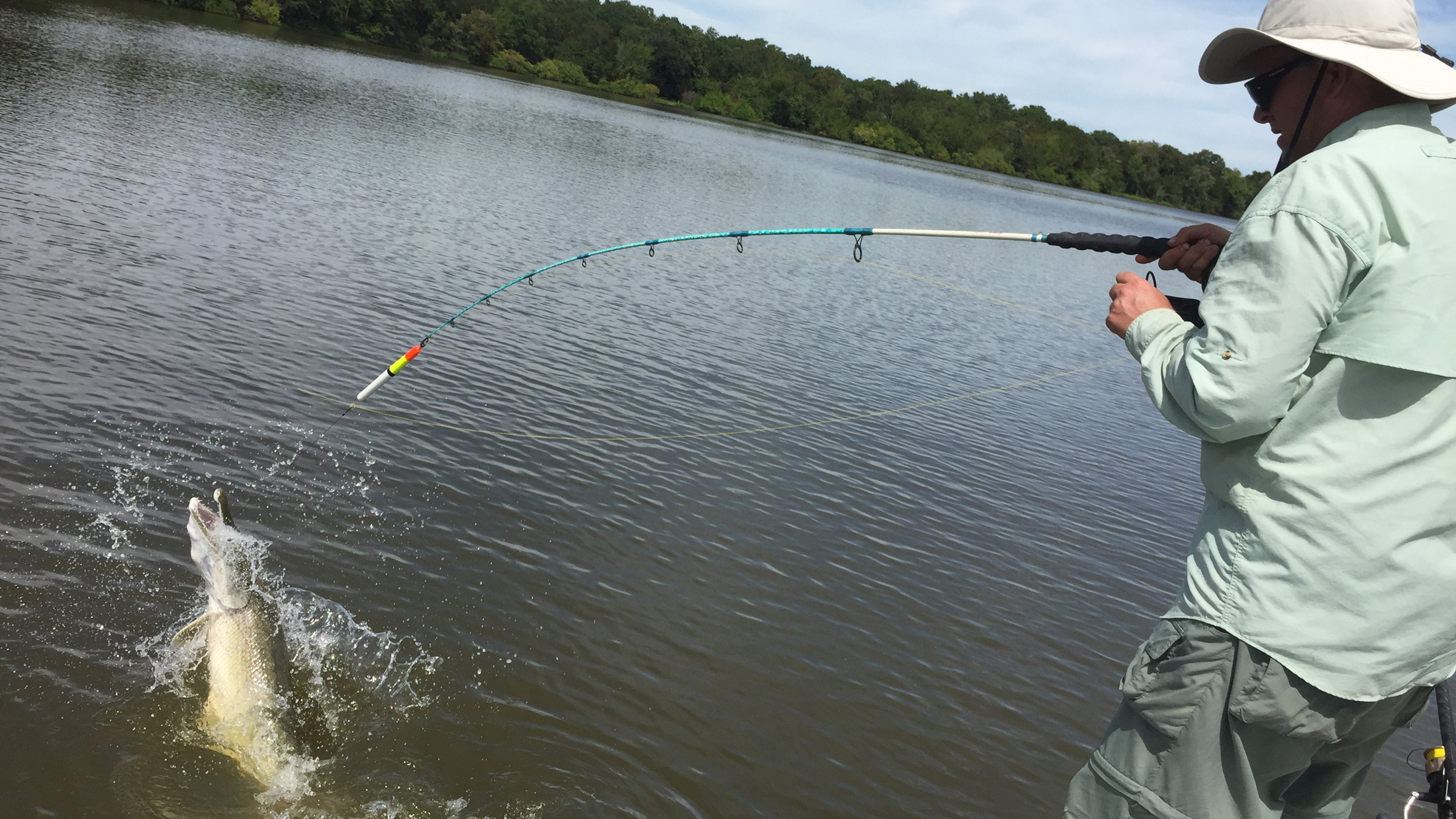 Gar Wars: A Fish Force Awakens - Cool Green Science