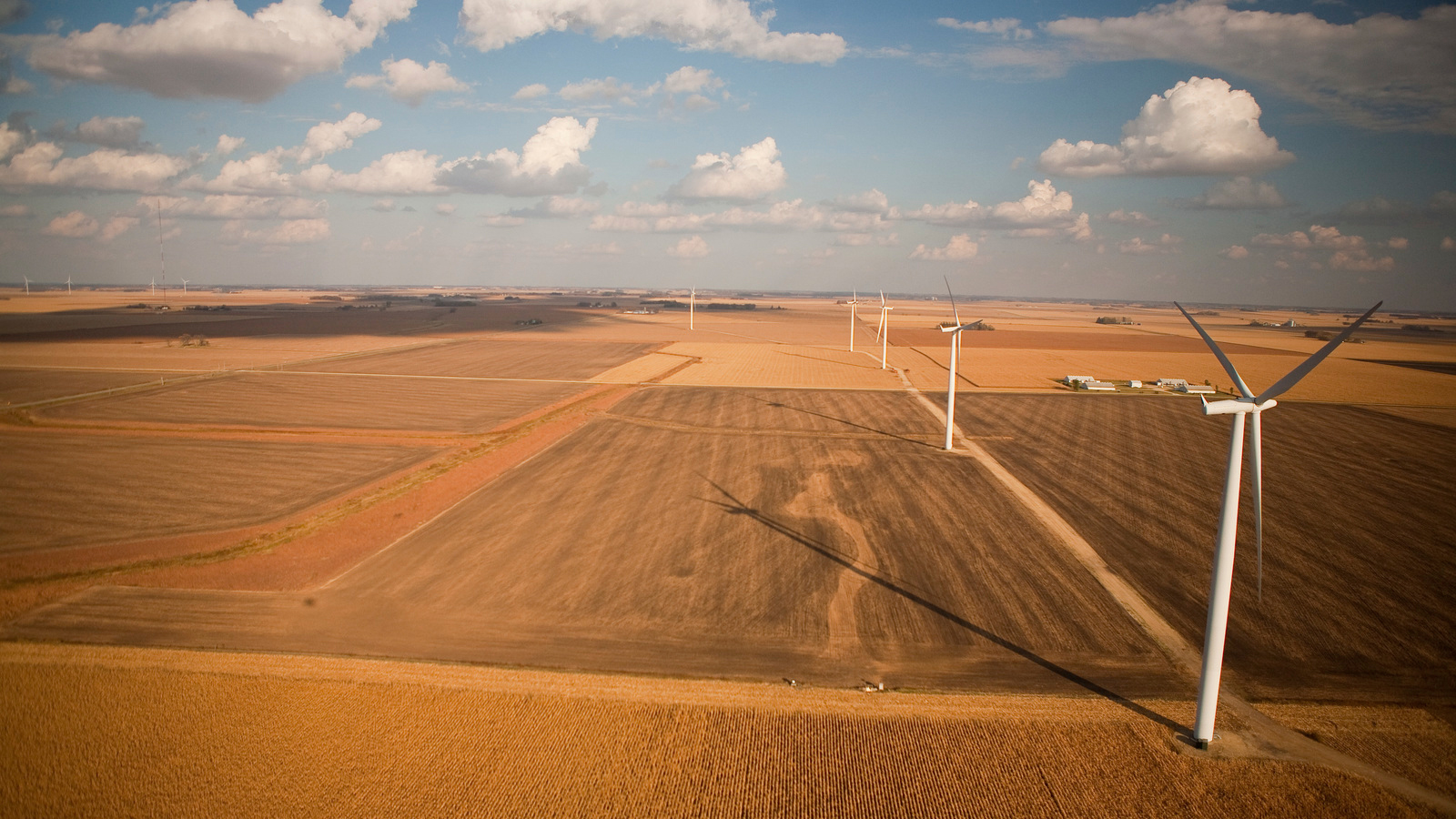Wind’s Big Footprint: Clean Energy Still Needs Safeguards for Nature ...