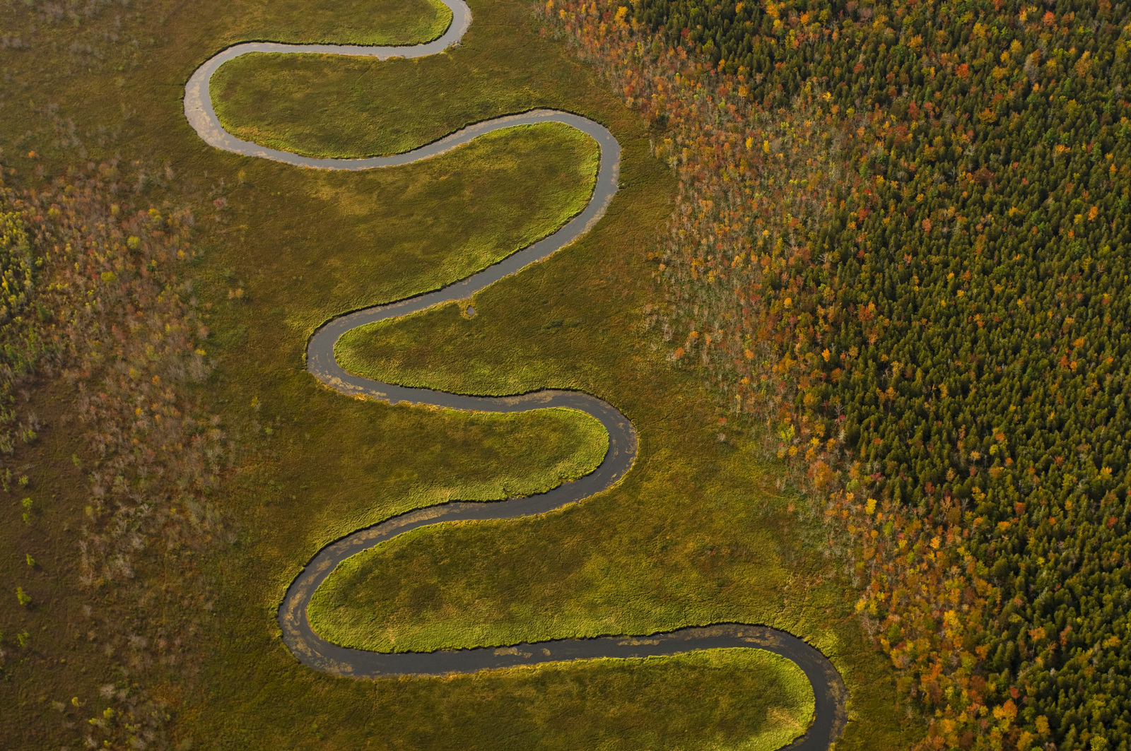 New Science Shows Nature’s Potential to Fight Climate Change