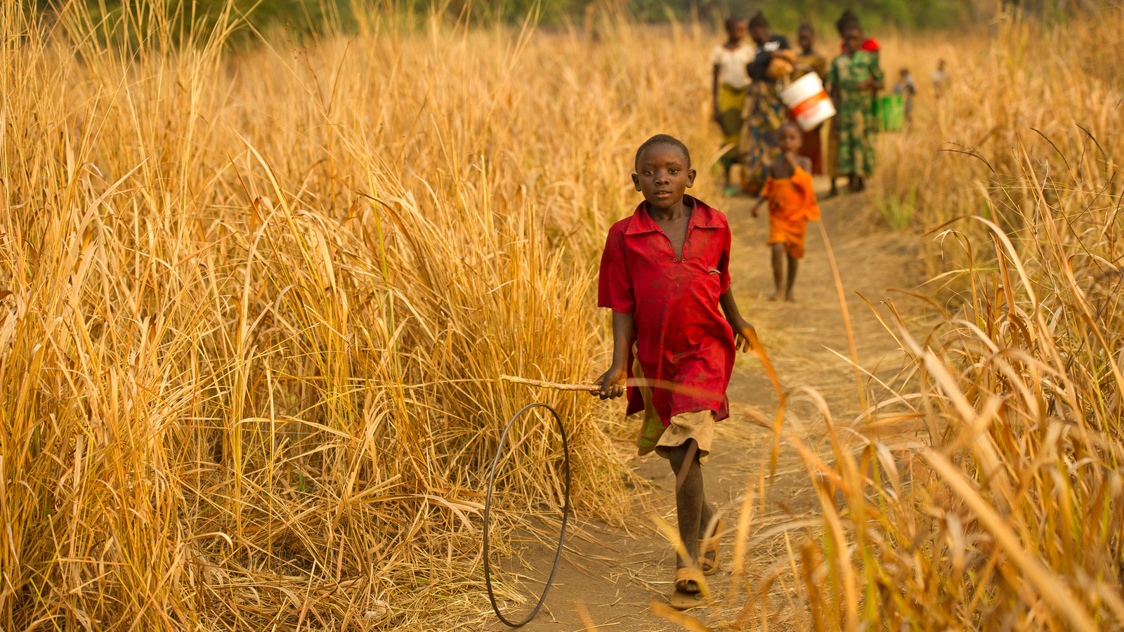 Can We End Hunger and Protect the Forest in Africa? - Cool Green Science