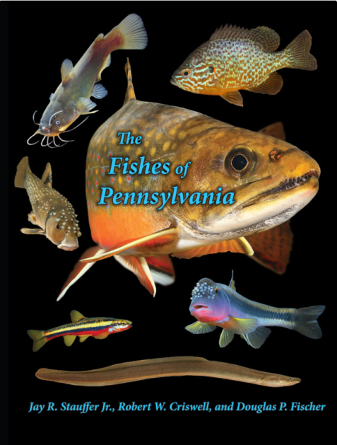 The Fish Nerd’s Holiday Book List - Cool Green Science