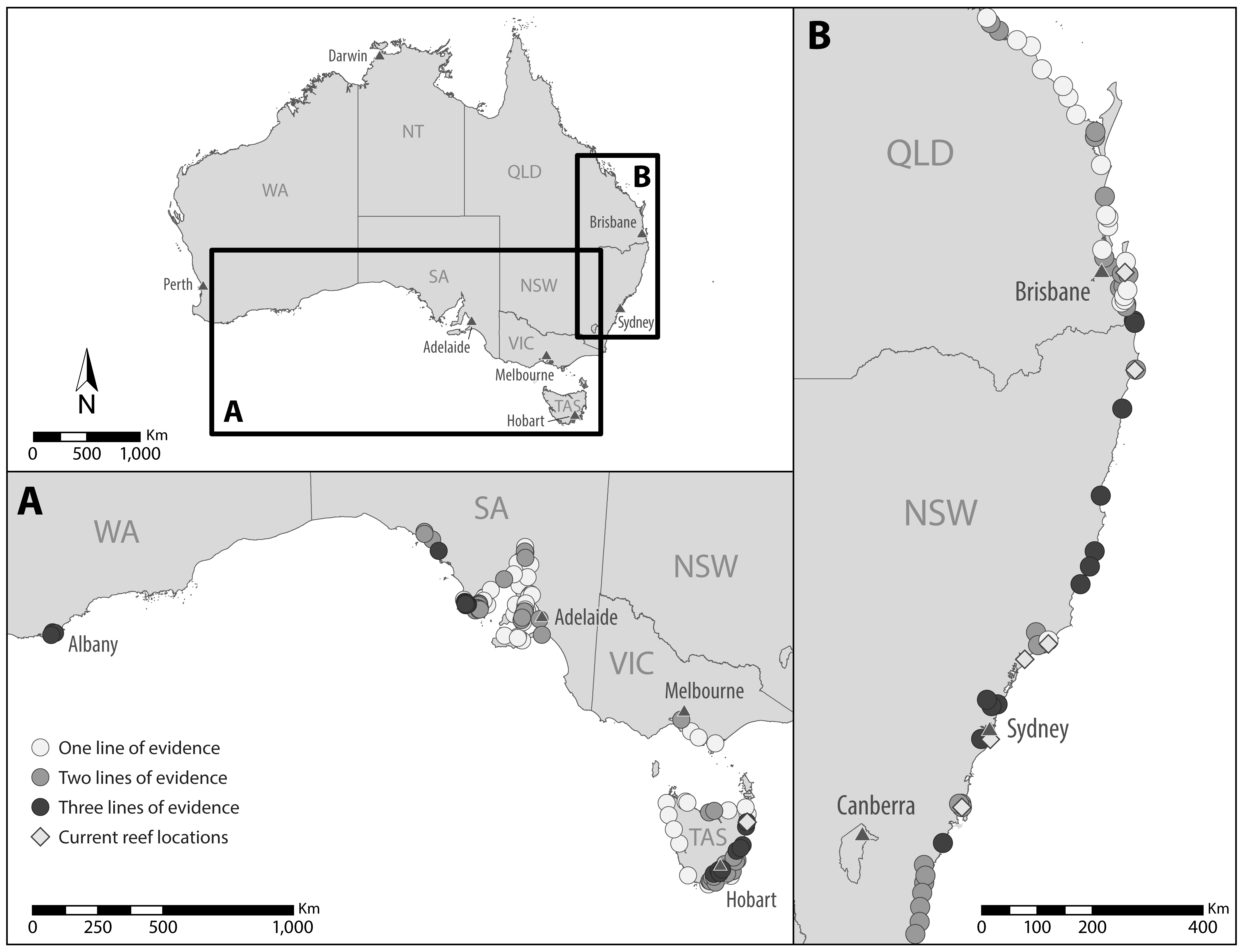 The Hidden History of Australian Oyster Reefs