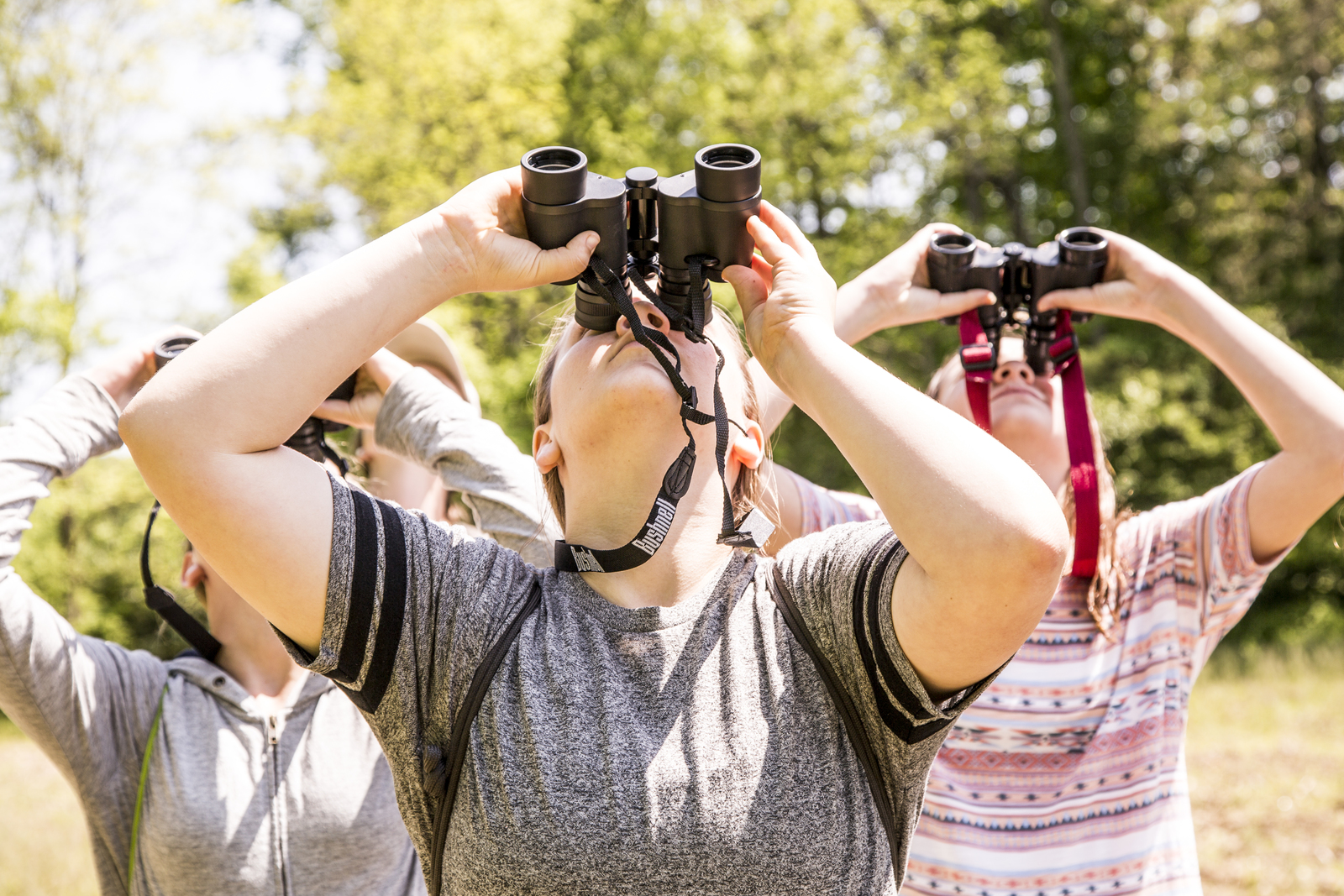 Make Your Birdwatching Count with the Great Backyard Bird Count - Cool ...