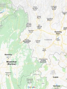 Poachers Are Killing Asian Elephants For Their Skin