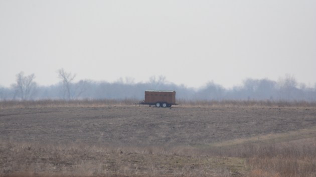 Could Prairie Chickens Come Booming Back? - Cool Green Science