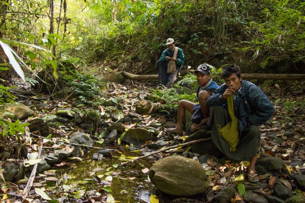 In Pictures: A Journey Through Myanmar's Great Teak Forests
