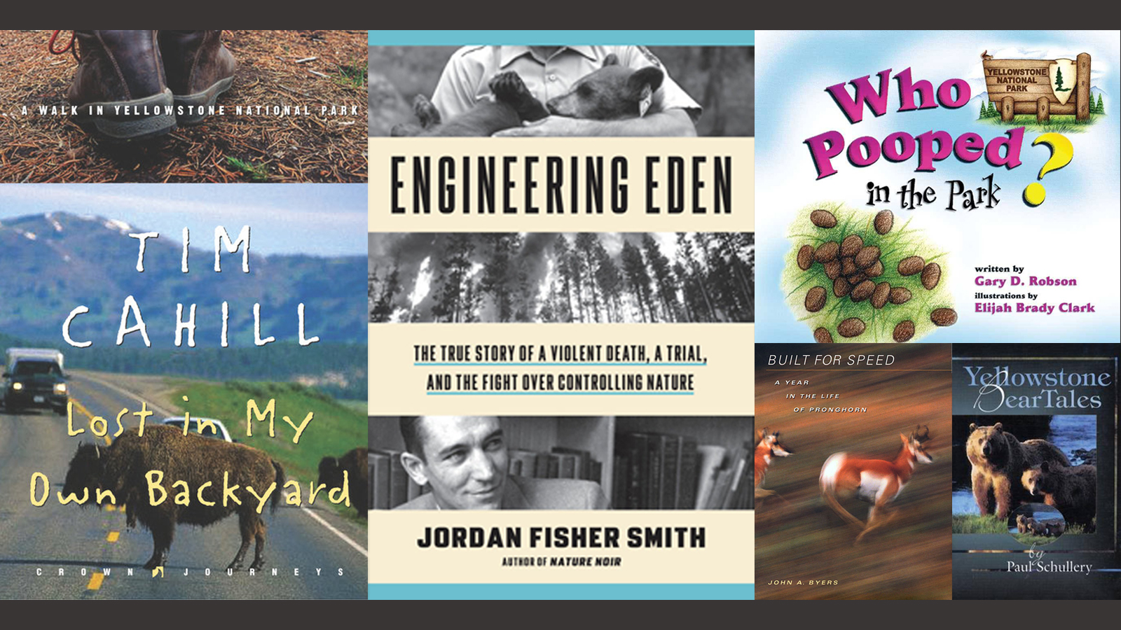 The Ultimate Guide to Yellowstone Wildlife Viewing - Cool Green Science