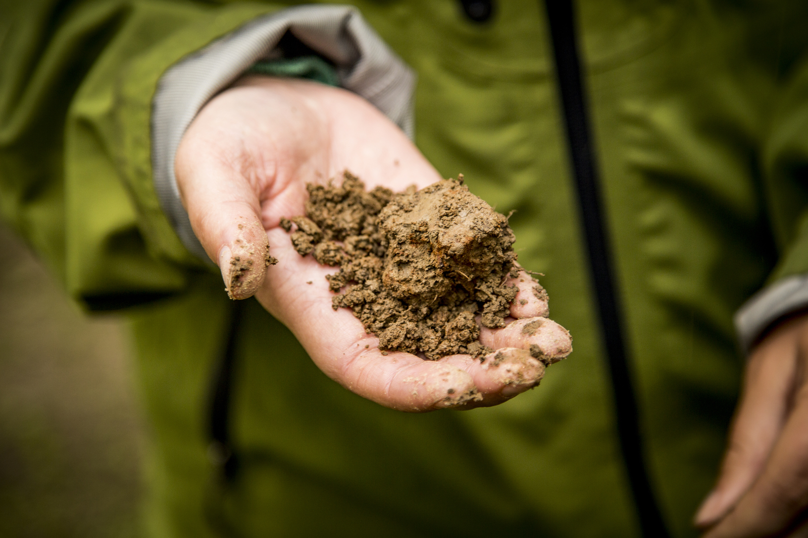 Should We Let Kids Eat Dirt?