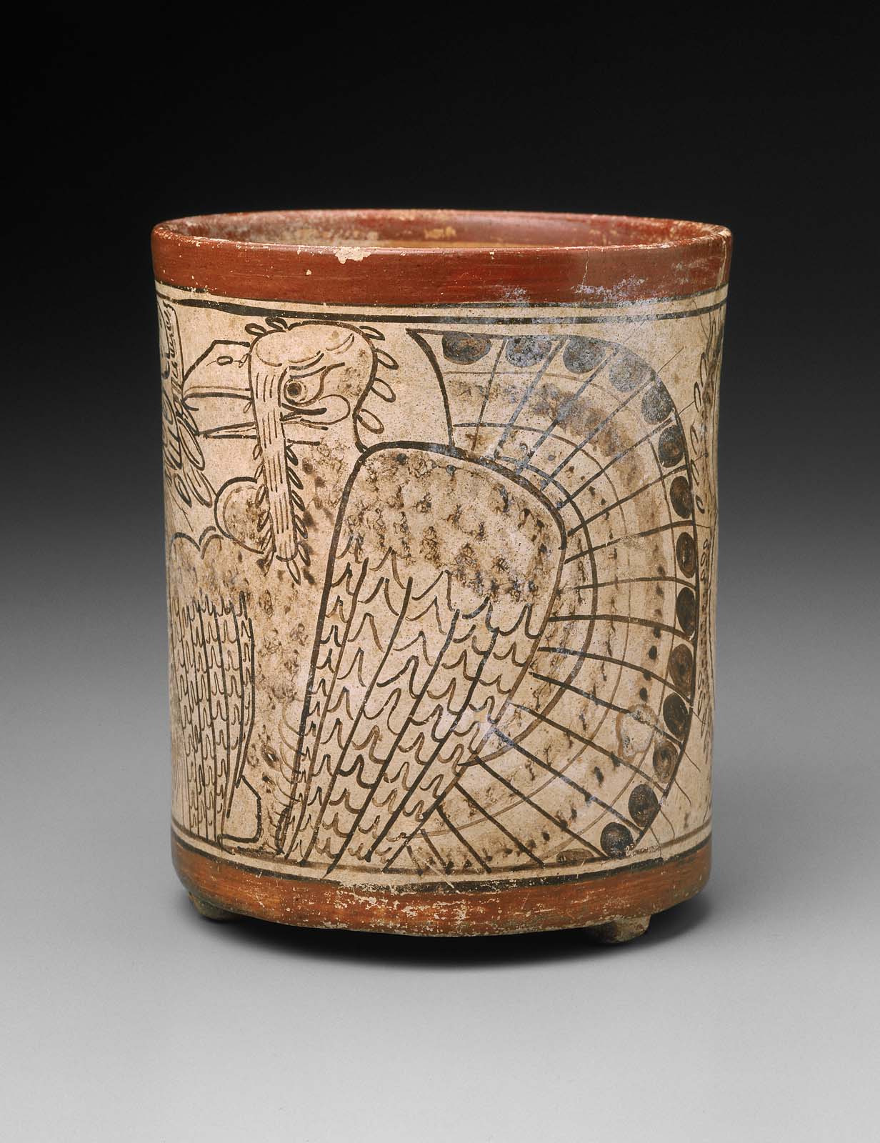 Can Tourism Save the Ocellated Turkey?