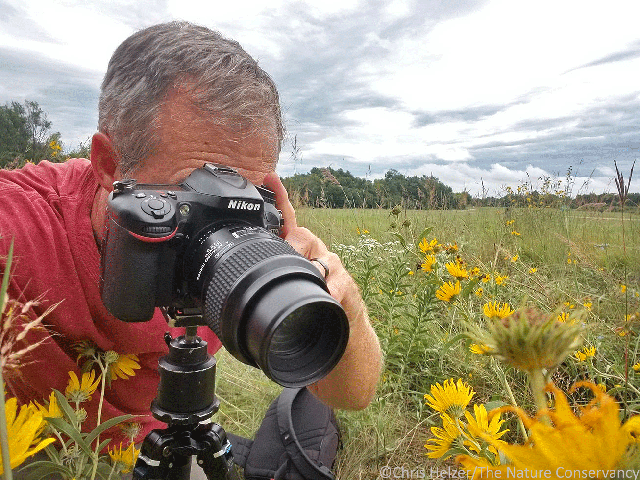 One Square Meter of Prairie