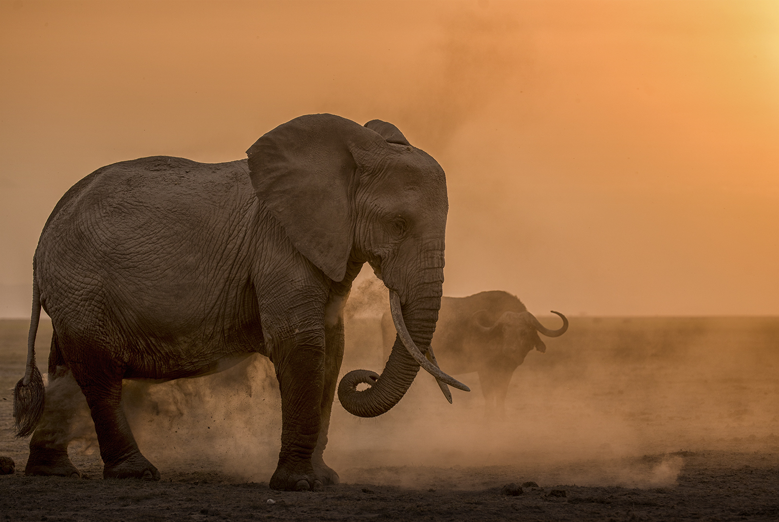 Expanding Protected Areas Is Not Always the Best Investment Expanding Protected Areas Is Not Always the Best Investment